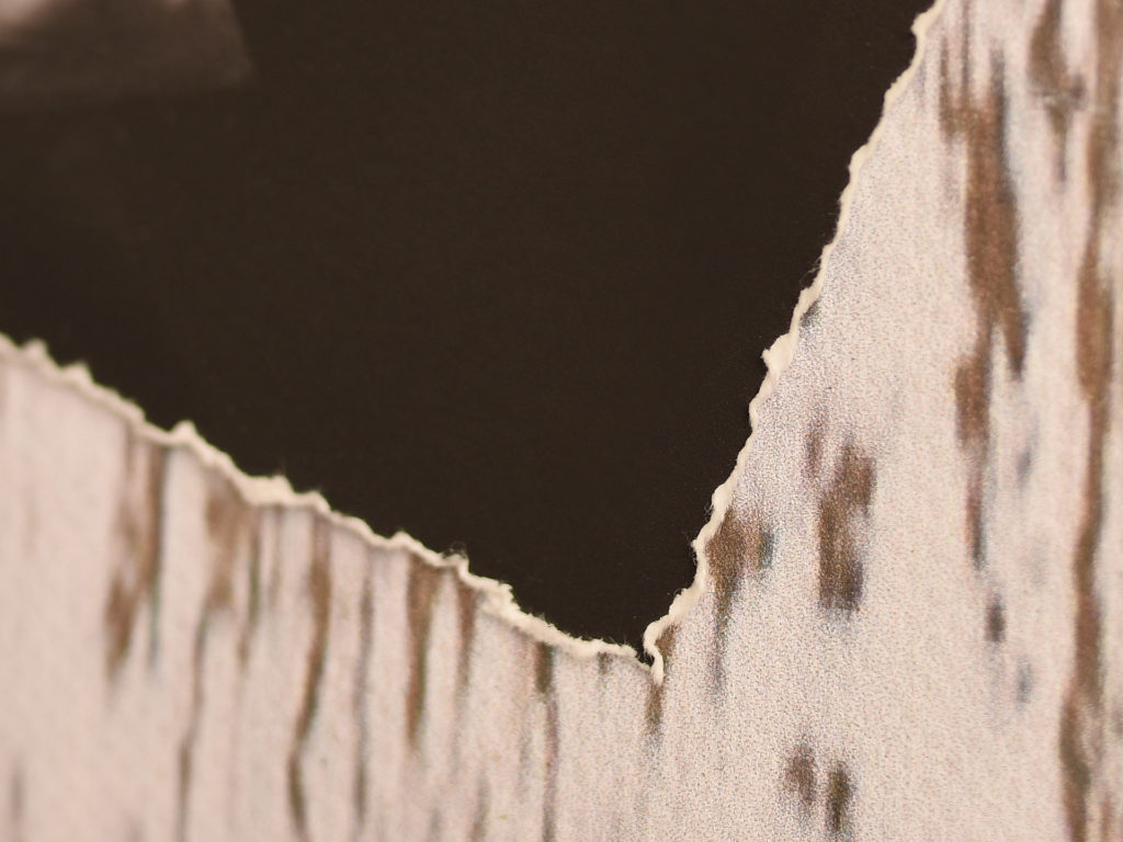 Matte Art Prints - ProLab